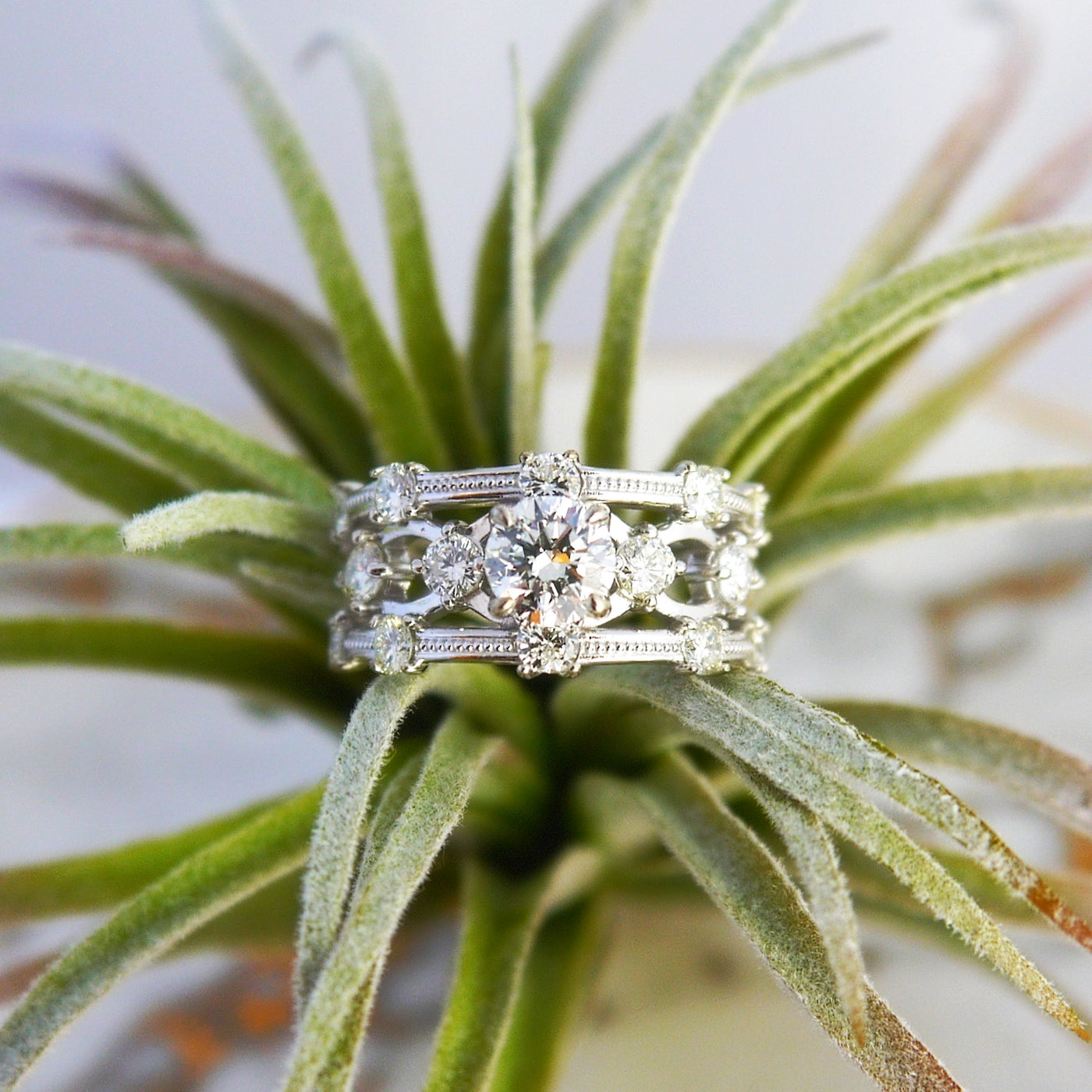 Lattice Diamond Ring – Ellie Lee Fine Jewelry